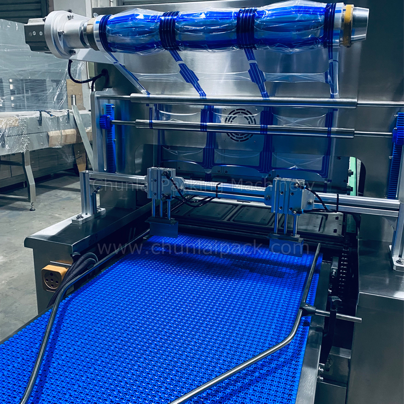 TF-3 Push-bar Type MAP Tray Sealer from China manufacturer - Chunlai