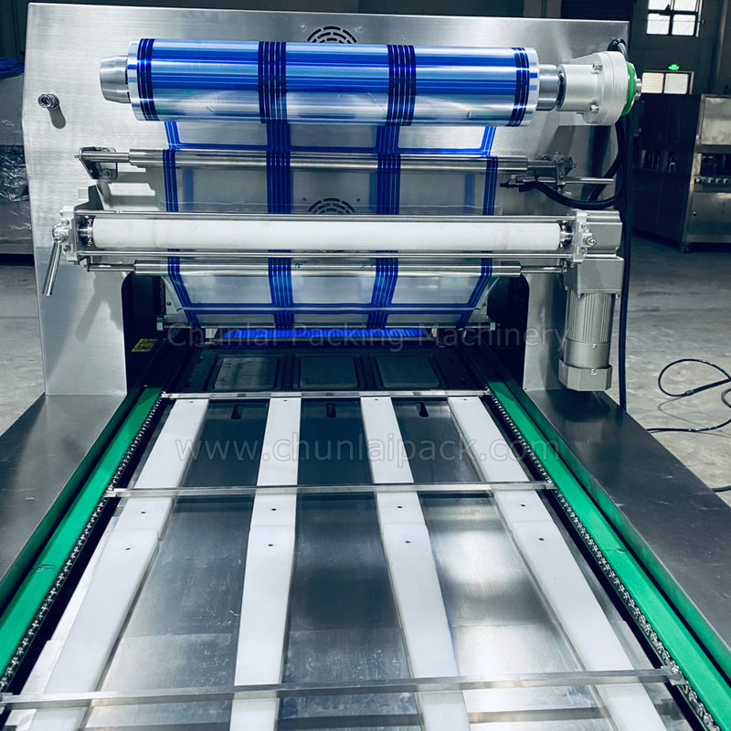 Push-bar Type Tray Sealer with Vacuum Gas Injection Packing from China ...